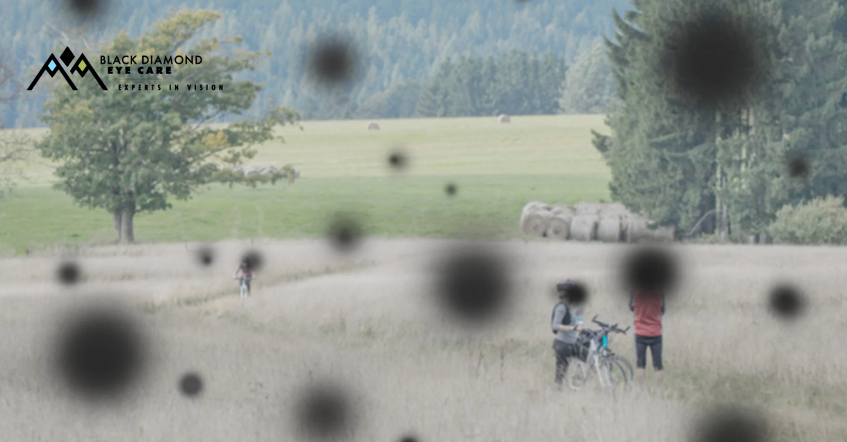 I Have Floaters in my Vision, What Does that Mean? - Black Diamond Eye Care